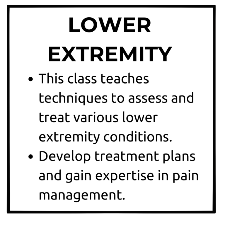 Lower Extremity - LMT Success Group